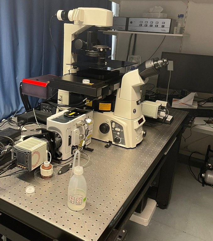 microscope.jpeg — Institut für Biologie